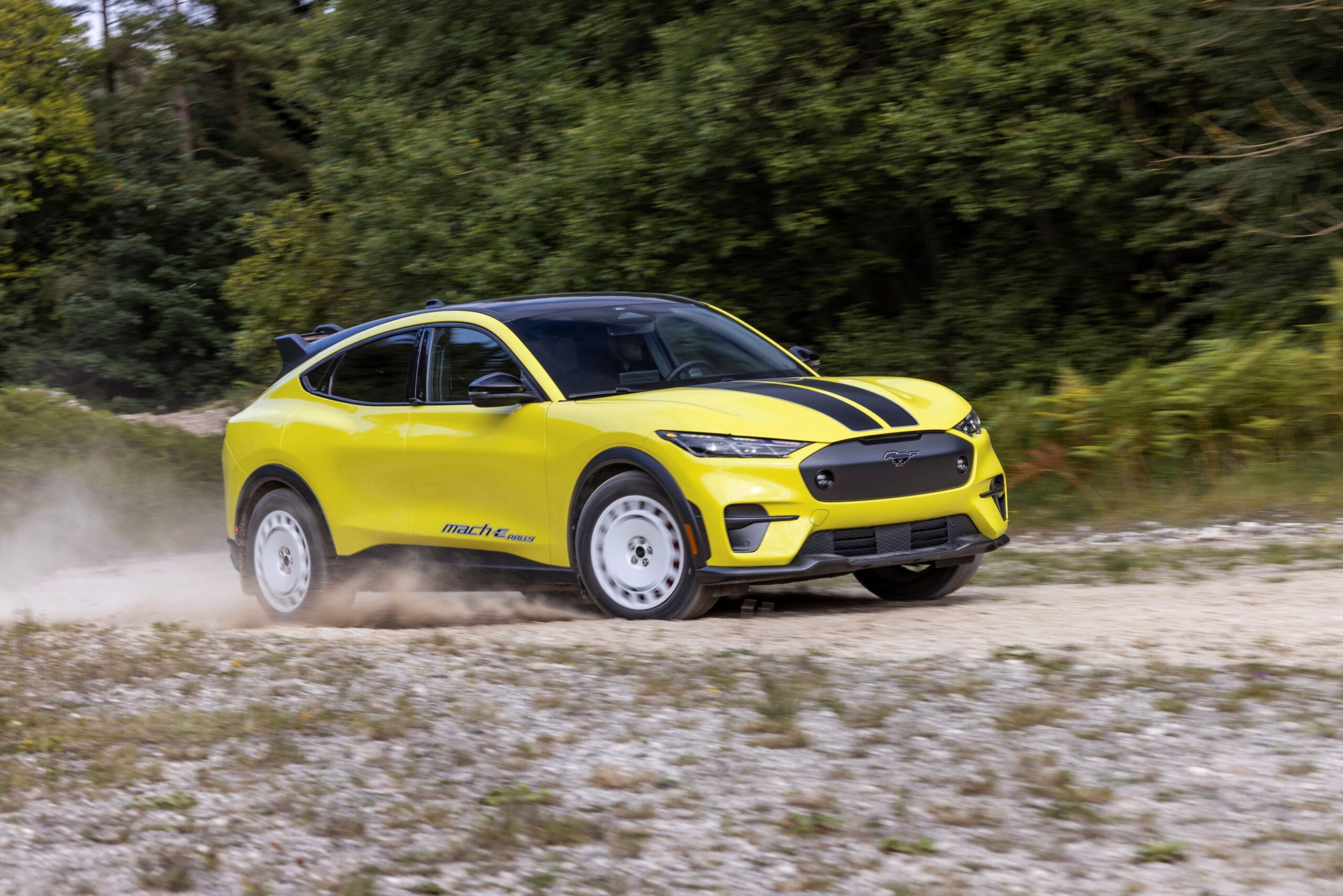 Meet the Ford Mustang Mach-E Rally | Tarmac Life | Motoring | Tech ...