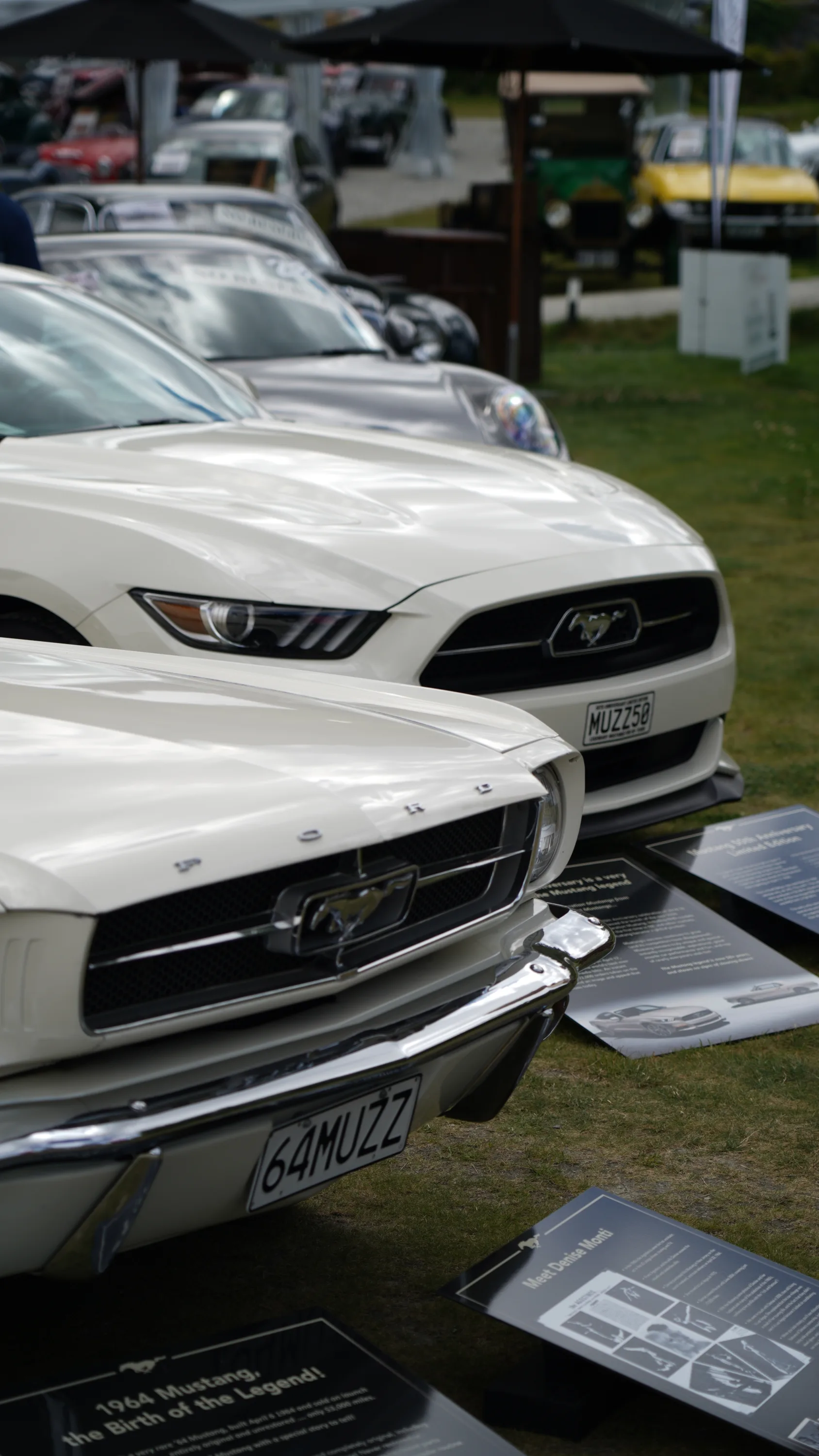 Two Mustangs, One Story - you can still get this winner combo | Tarmac ...